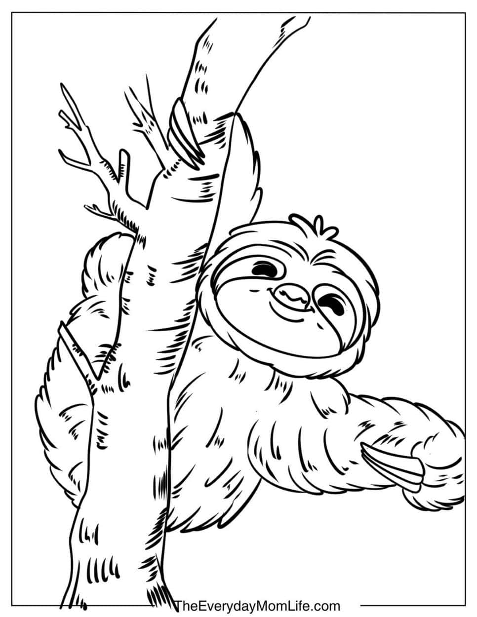 Sloth Coloring Pages For Kids (Free PDF)
