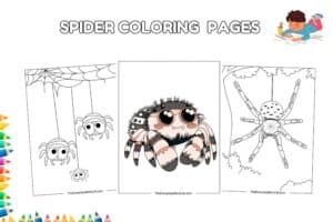 Free PDF Spider Coloring Pages