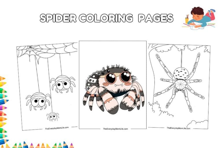 Free PDF Spider Coloring Pages