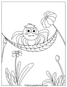 Free PDF Spider Coloring Pages