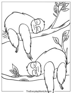 Sloth Coloring Pages For Kids (Free PDF)
