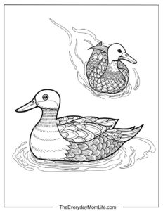 PDF Printable Duck Coloring Pages - The Everyday Mom Life