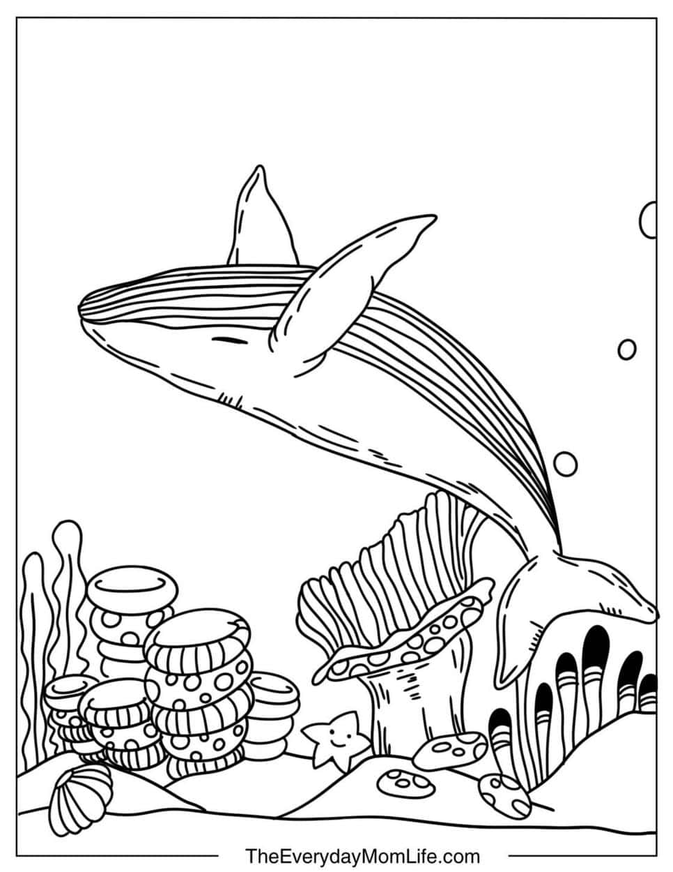 Whale Coloring Pages for Kids (Free PDF)
