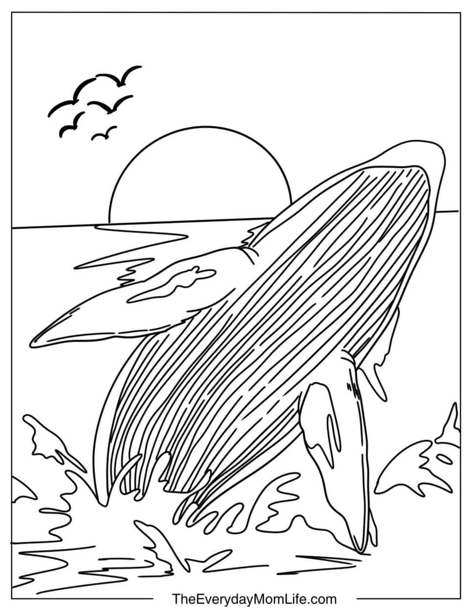 Whale Coloring Pages for Kids (Free PDF)