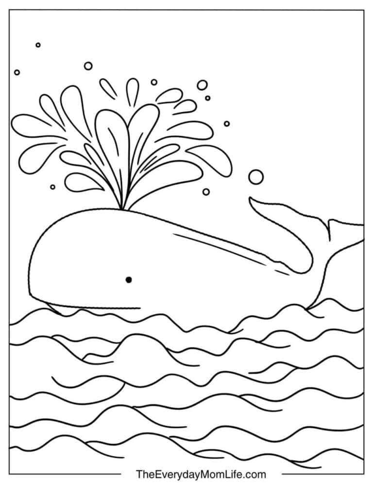 Whale Coloring Pages for Kids (Free PDF)