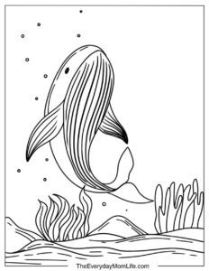 Whale Coloring Pages for Kids (Free PDF)