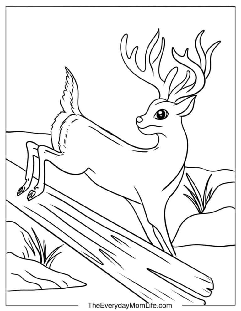 Free Printable PDF Deer Coloring Pages