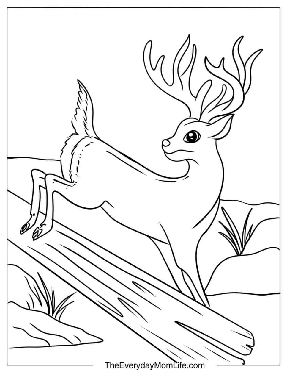 Free Printable PDF Deer Coloring Pages