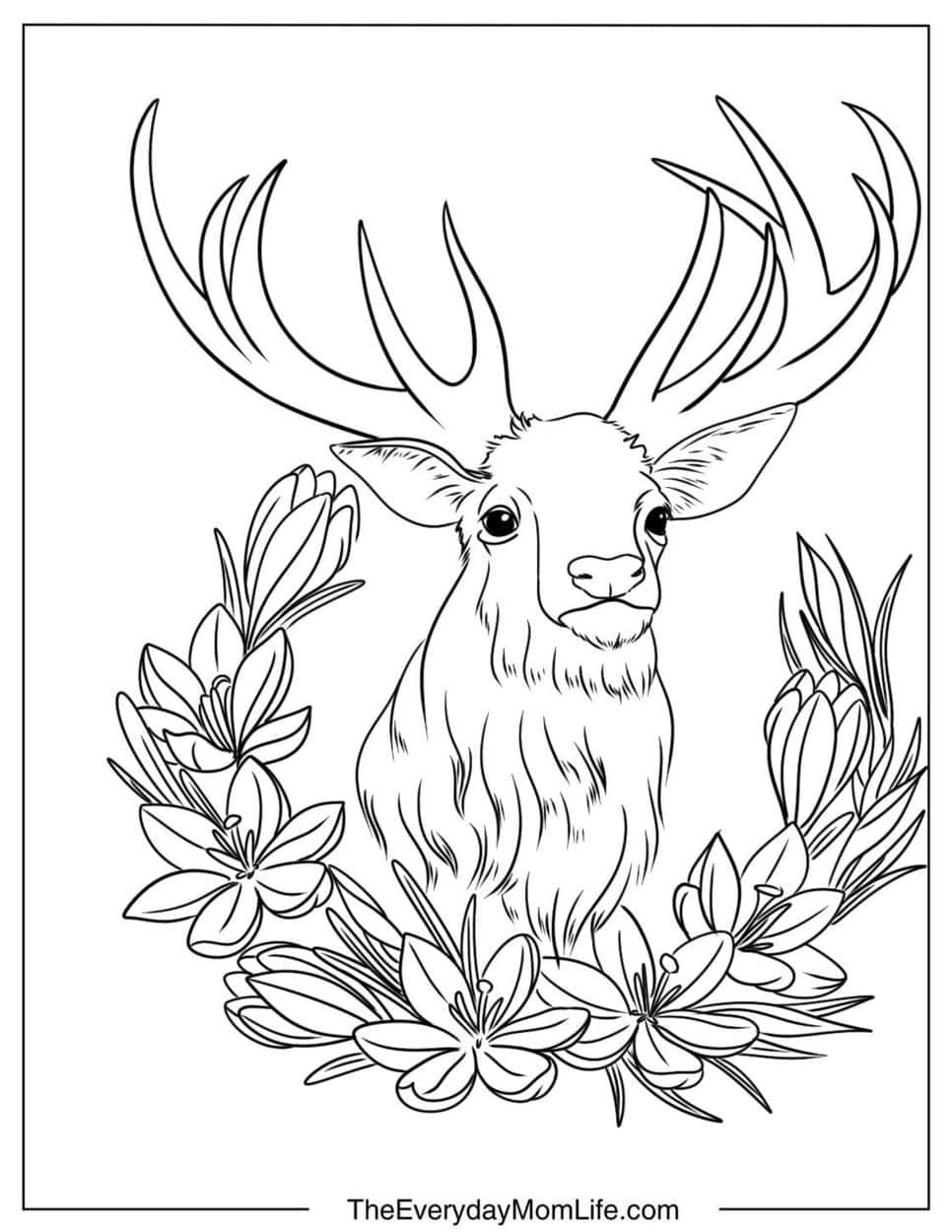 Free Printable PDF Deer Coloring Pages